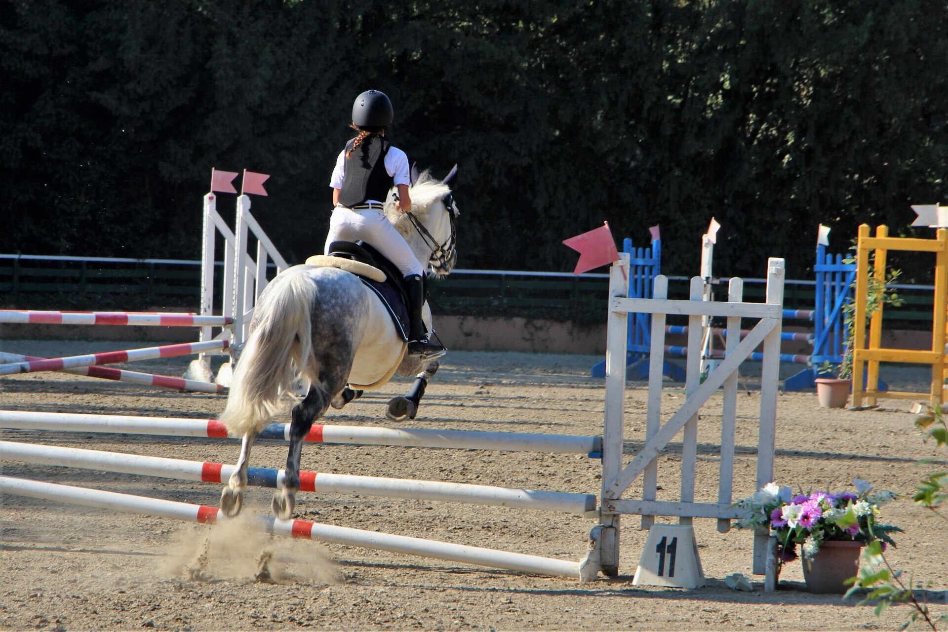 Le Siepi Cervia
